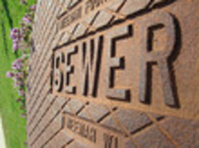 The Sludge Report | DCist