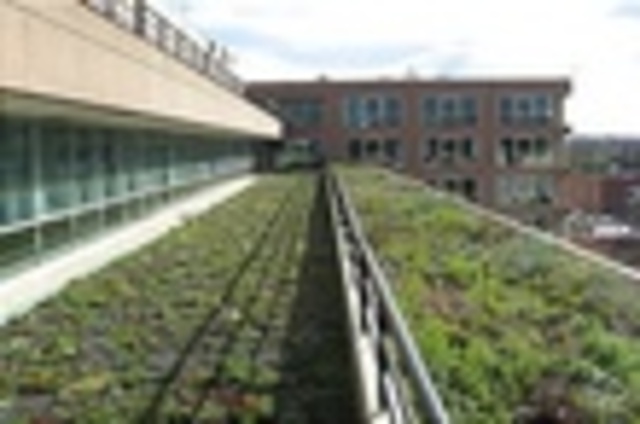 The Reeves Center Has Gone Green | DCist