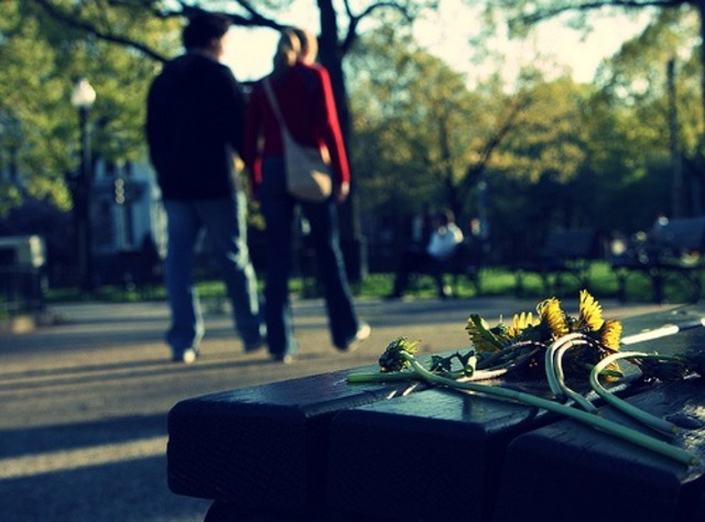 Go Home Already: Walk in the Park | DCist