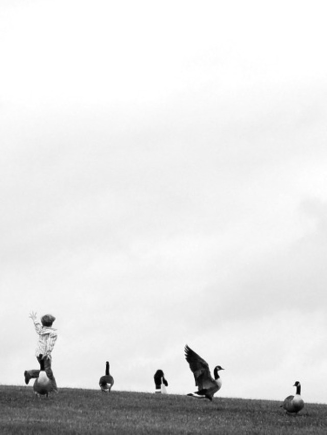 The Saturday Morning Post | DCist