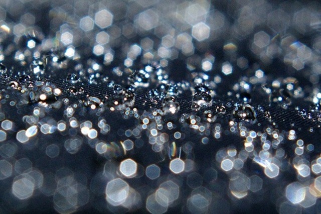 Photo of the Day: December 1, 2009 | DCist