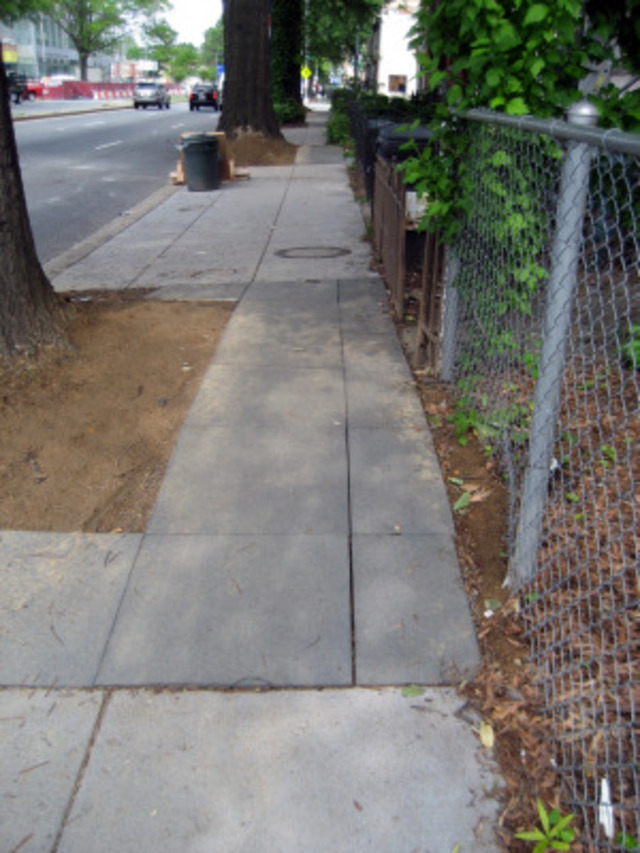 Rubber Sidewalk Slabs Help City Deal With Unruly Tree Roots | DCist