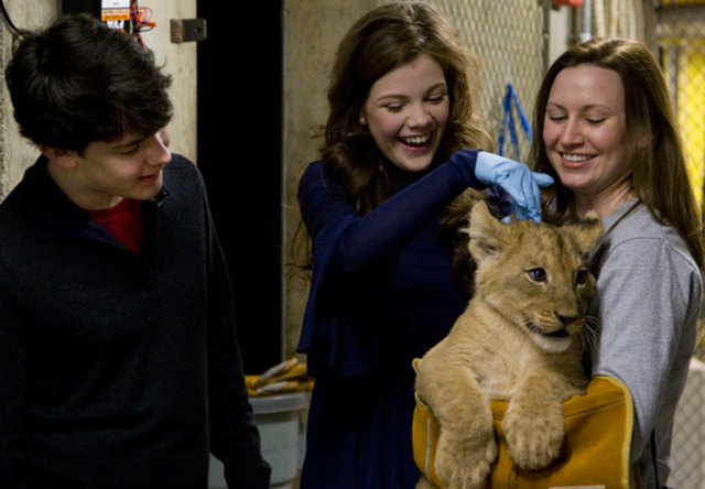 The Lion Cub, The Movie Stars and The Naming | DCist