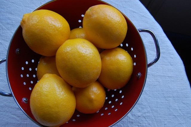 The Weekly Feed: Lemony Fresh Edition | DCist