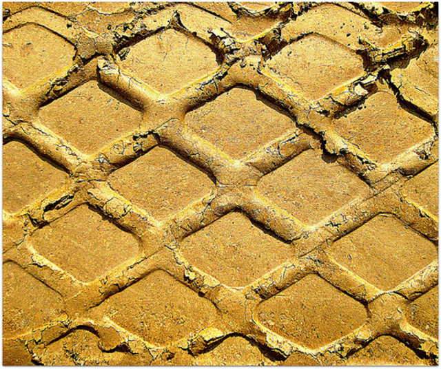 The Sunday Morning Post | DCist