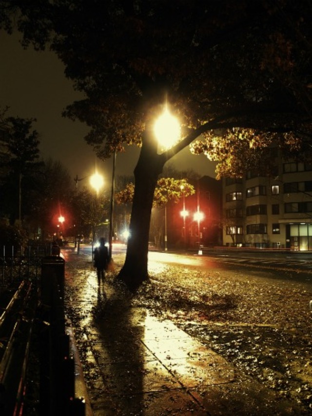 About Tonight: November 28, 2011 | DCist