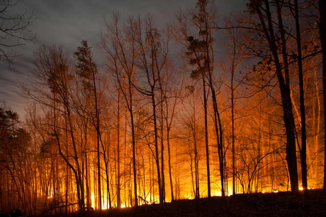 Why Does It Smell Like Burning? | DCist
