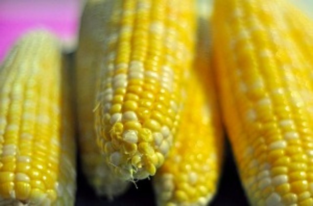 From the Annals of Weird and Outdated Laws: Barrels of Corn | DCist