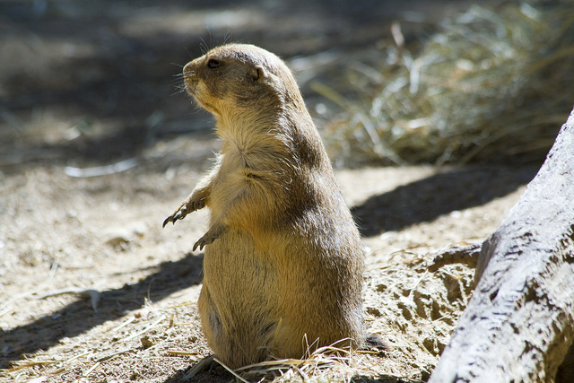 Go Home Already: Yes? | DCist