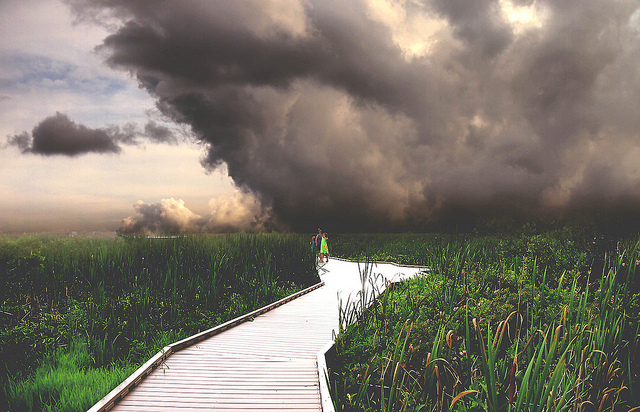 Go Home Already: Incoming | DCist