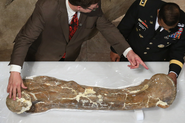 Nation's T. Rex Arrives At The Smithsonian | DCist