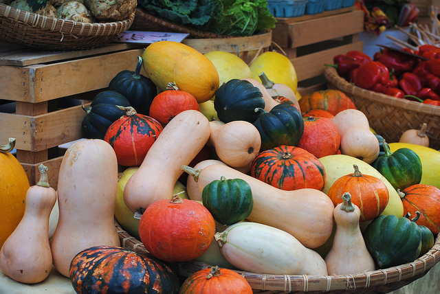 Winter Farmers' Market Produce Guide (Or What to Do with 15 Pounds of ...