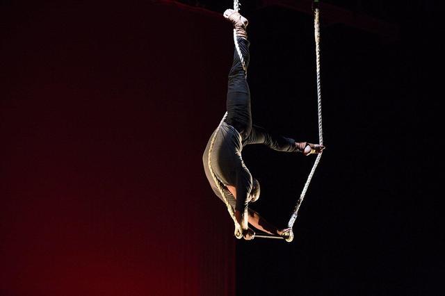 D.C.’s New Trapeze Company Is Here And Queer | DCist