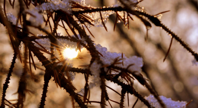 Welcome Back: It Hasn't Felt This Cold Since Last March | DCist