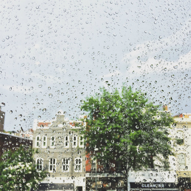 Dreary Weather Has One Upside: It's Record-Breaking | DCist