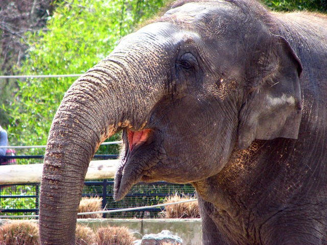 DC GOP Dubiously Calls 2016 Its 'Most Successful' Local Election In A ...