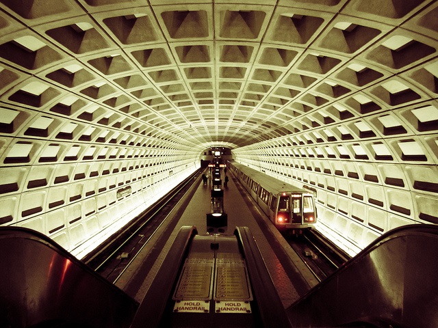 Rejoice: There's Very Little Metro Weirdness Happening This Weekend | DCist