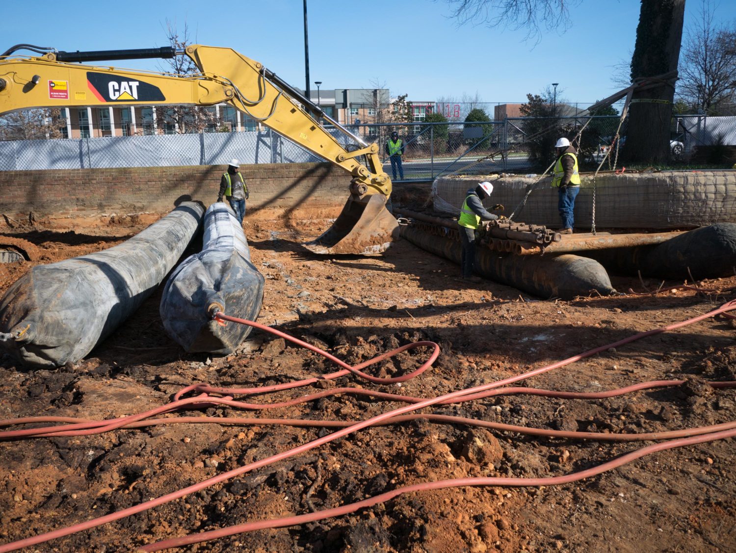 '100 Feet Per Hour': What It Takes To Uproot And Move A Giant Tree | DCist
