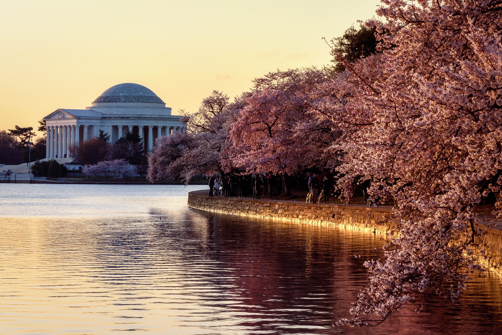 Morning Roundup: The Tidal Basin Is Falling Prey To Climate Change ...