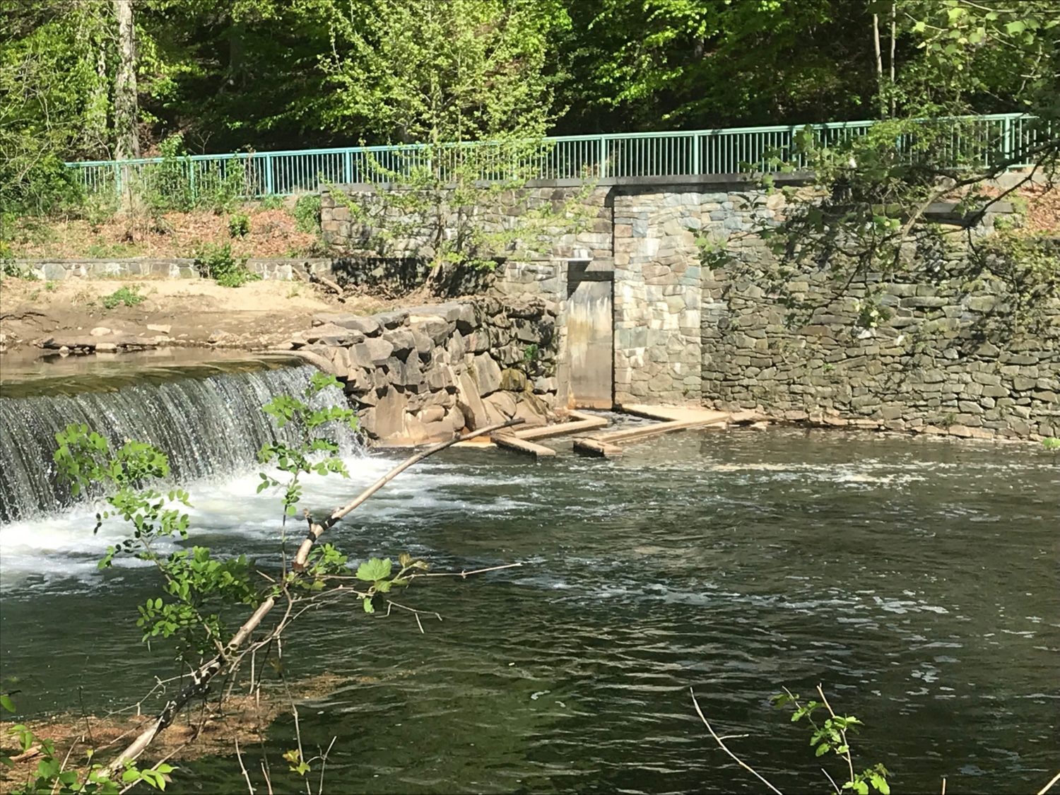 So, There’s A Fish Ladder In Rock Creek | DCist