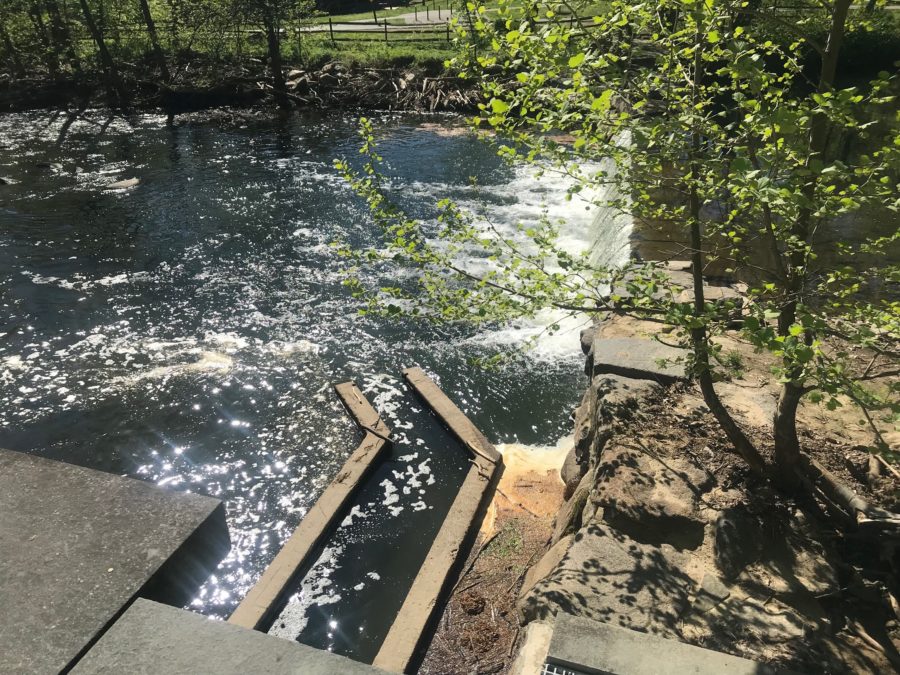 So, There’s A Fish Ladder In Rock Creek | DCist