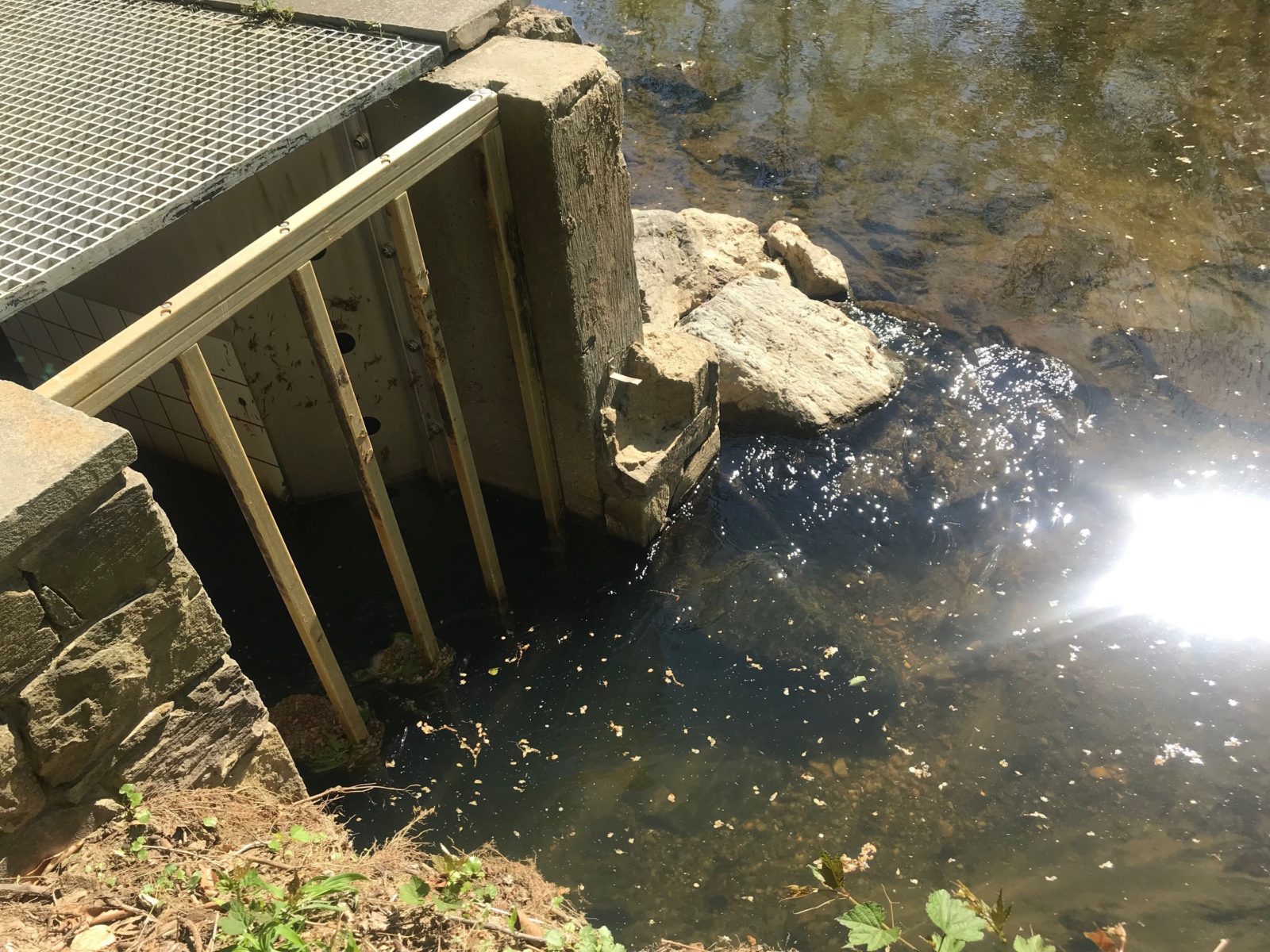 So, There’s A Fish Ladder In Rock Creek | DCist