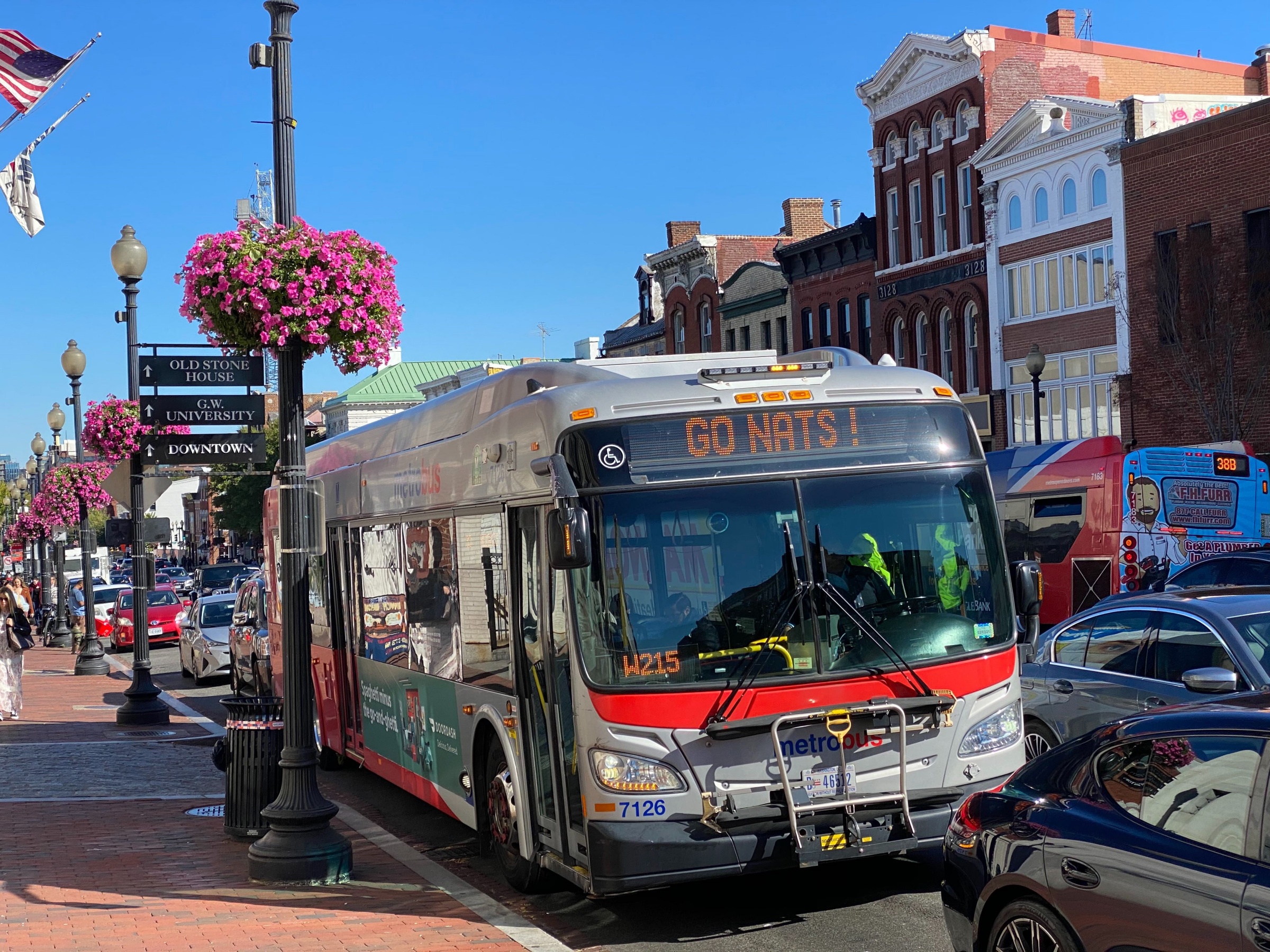 'Go Nats!' On Buses, 'Baby Shark' On The National Cathedral Organ, And ...
