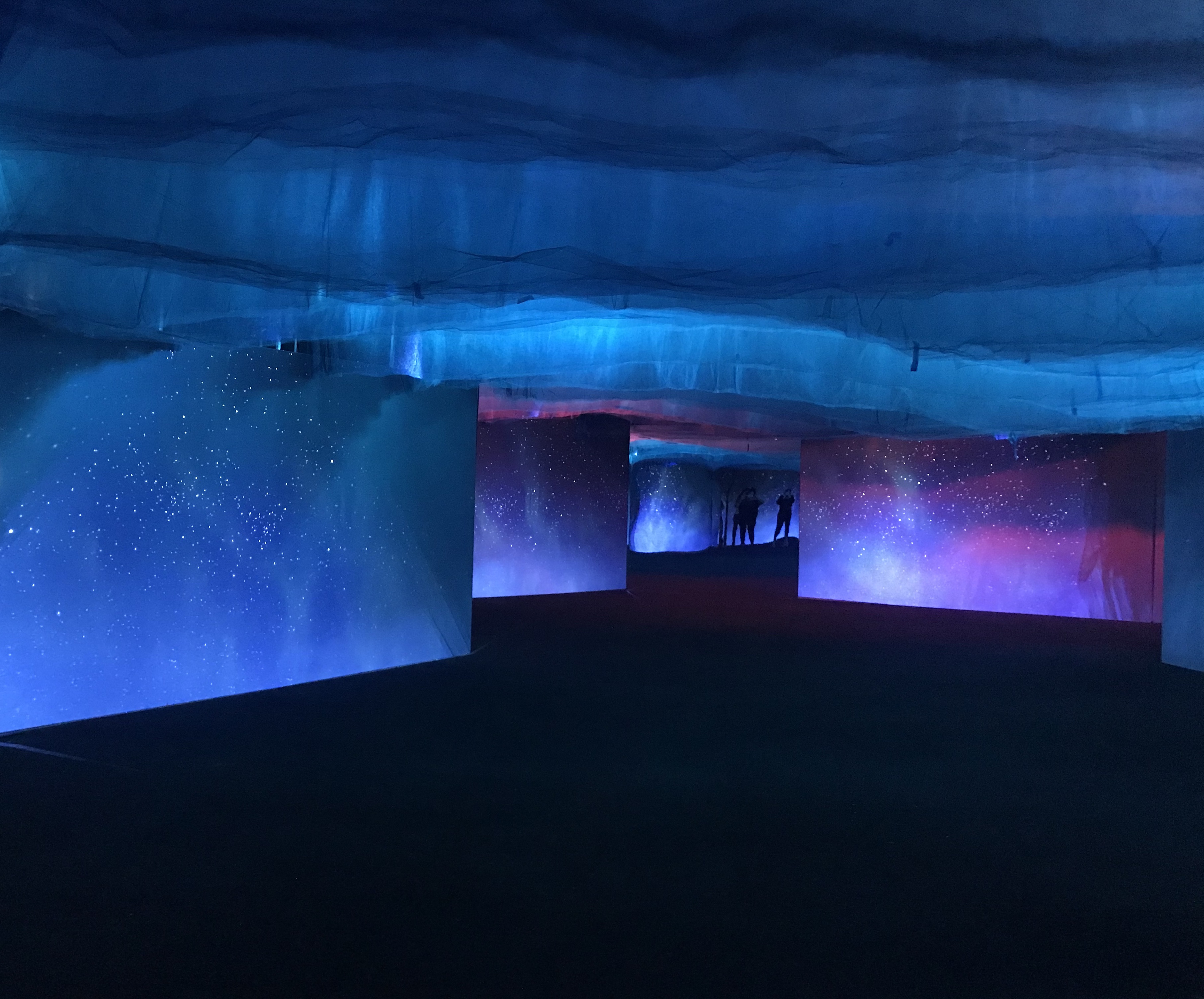 This Immersive Pop-Up Exhibit Places You Inside The Arctic Refuge | DCist
