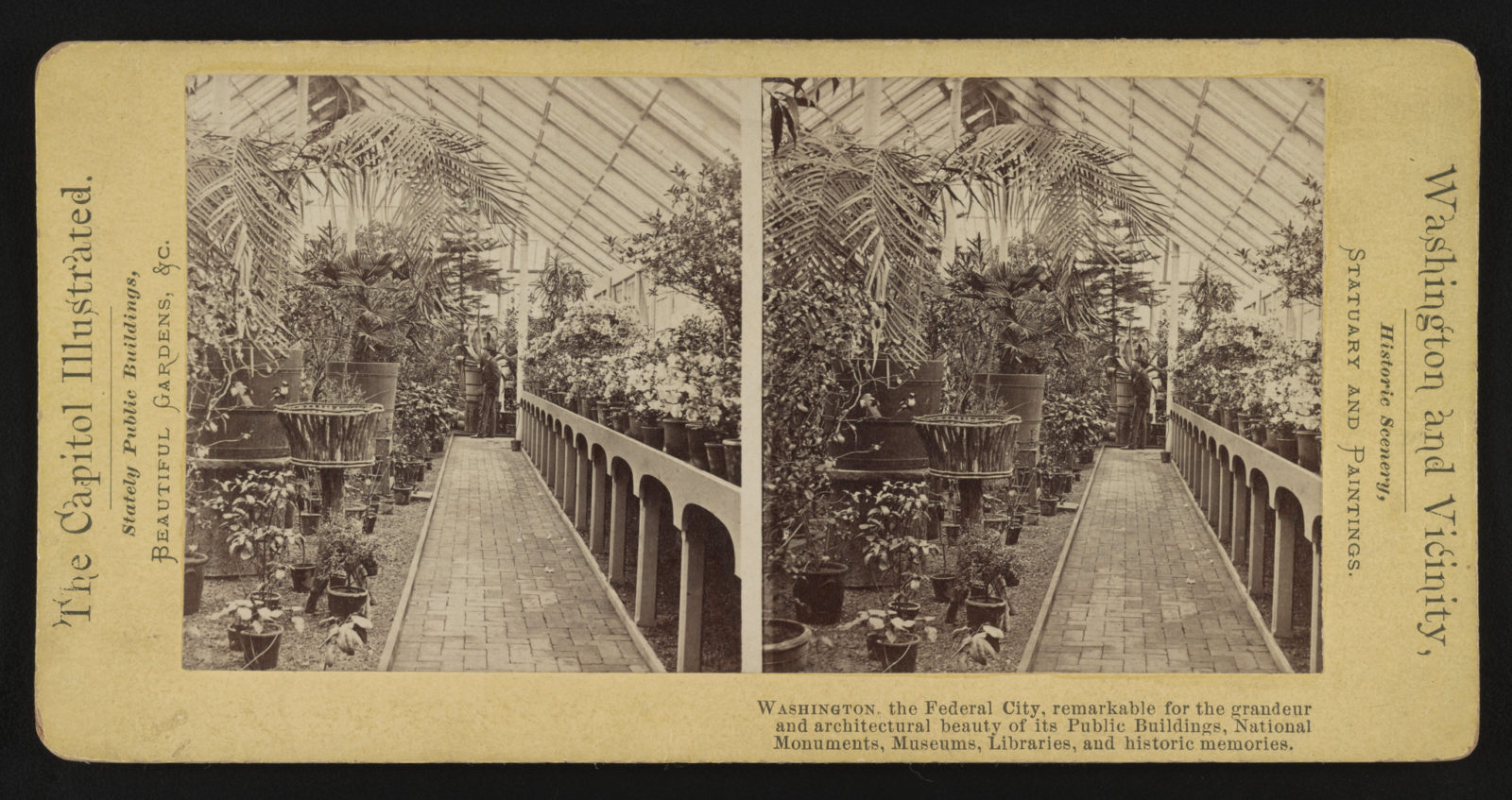 10 Facts You Probably Didn’t Know About The U.S. Botanic Garden | DCist