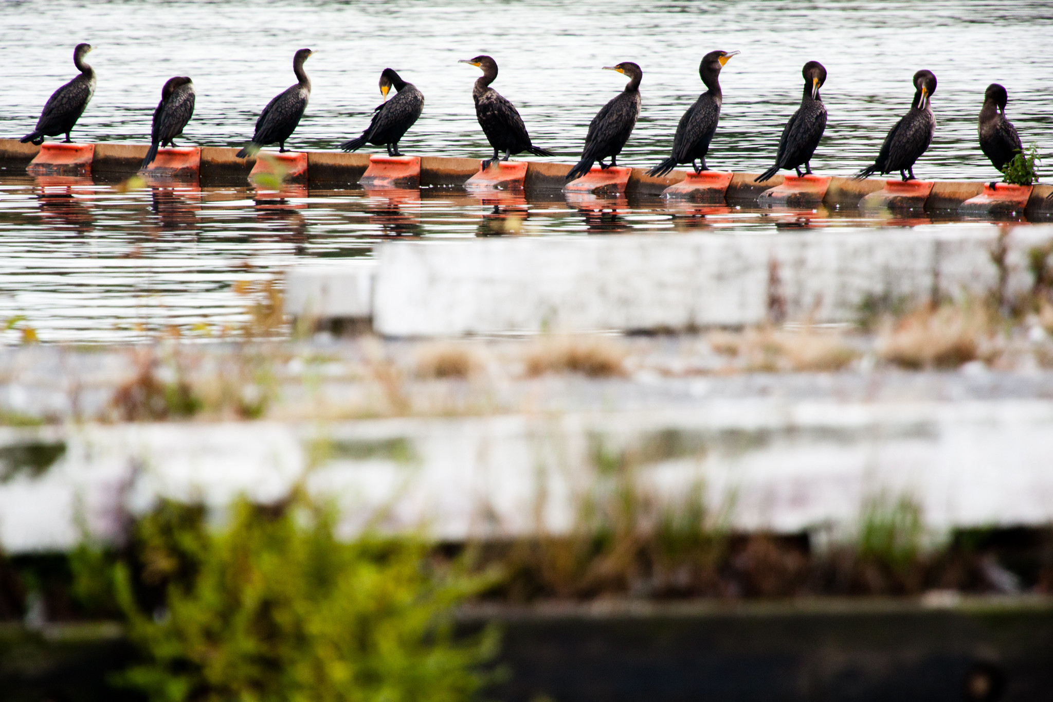 What Social Distancing And Staying Home Might Mean For D.C.'s Air ...