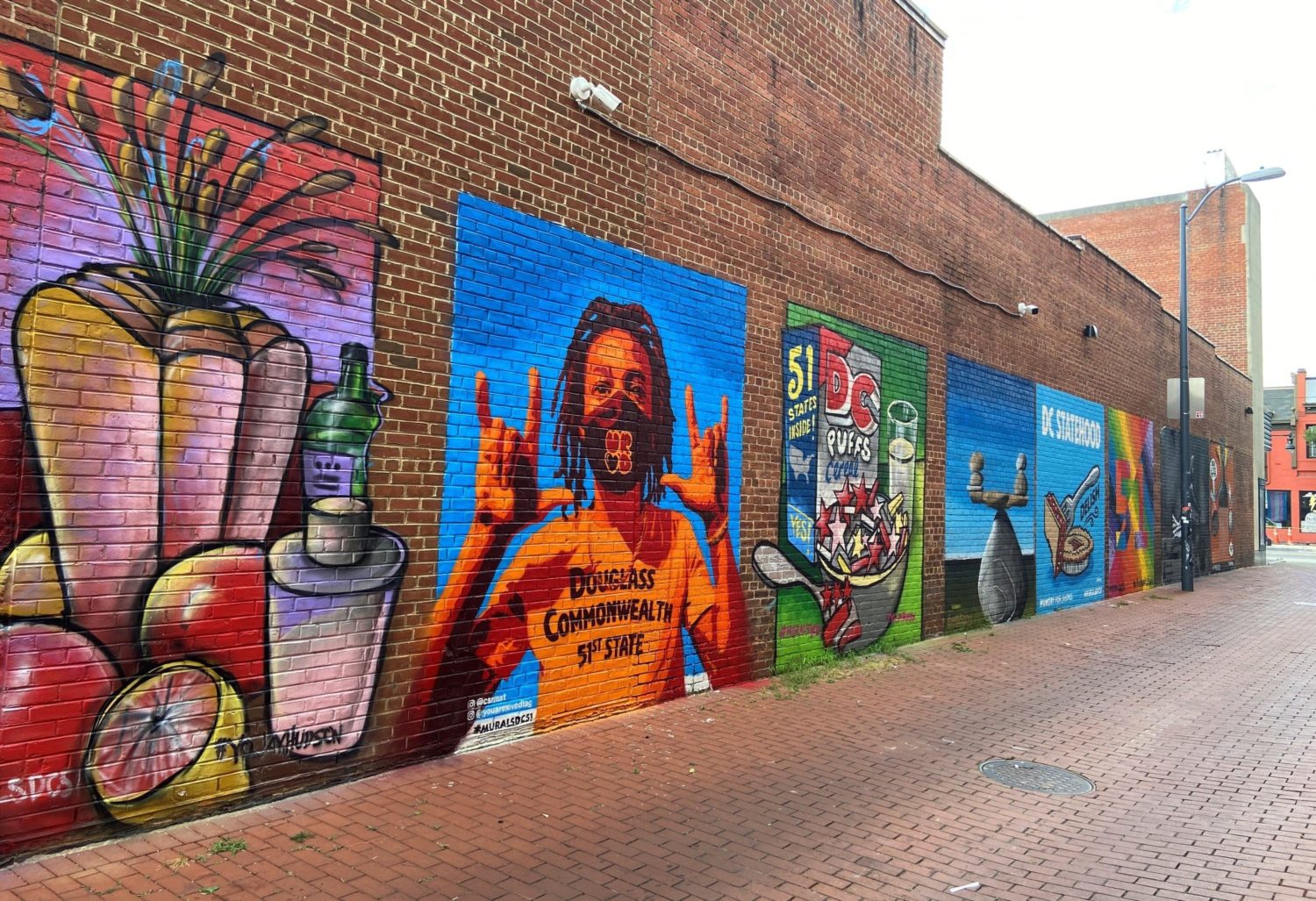 Photos: D.C. Has 51 New Statehood Murals | DCist