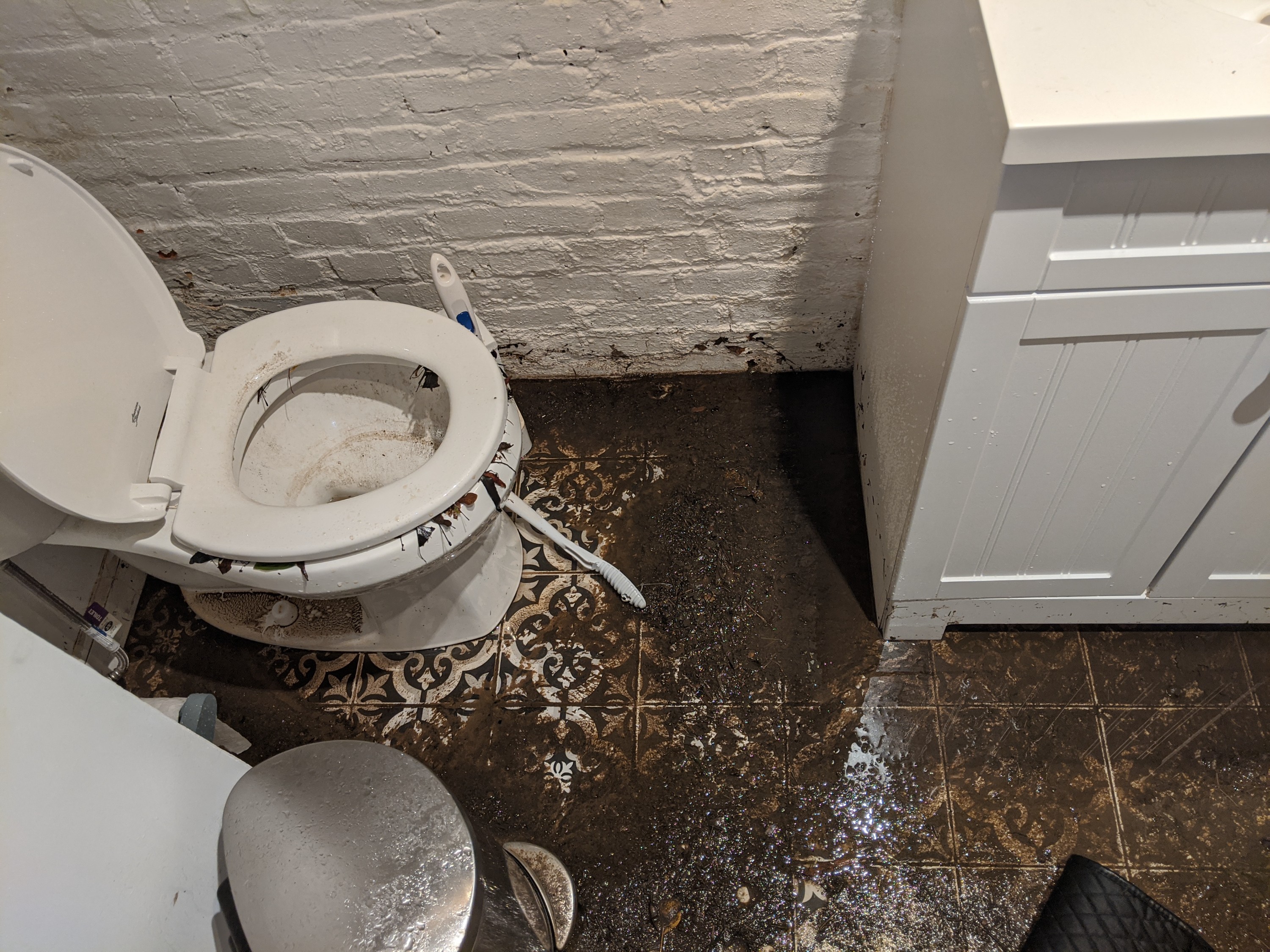 Basement Floor Drain Backs Up When Toilet Is Flushed Flooring Tips