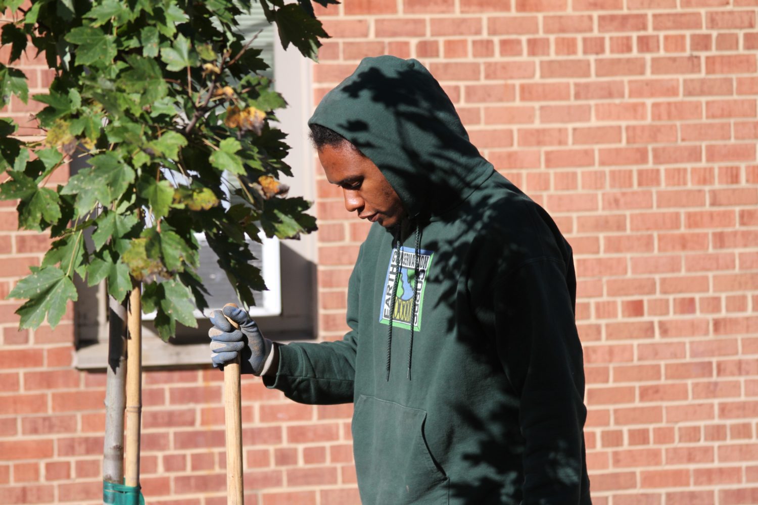 D.C. Gets High Marks For Tree Equity -- A 'National Success Story' | DCist