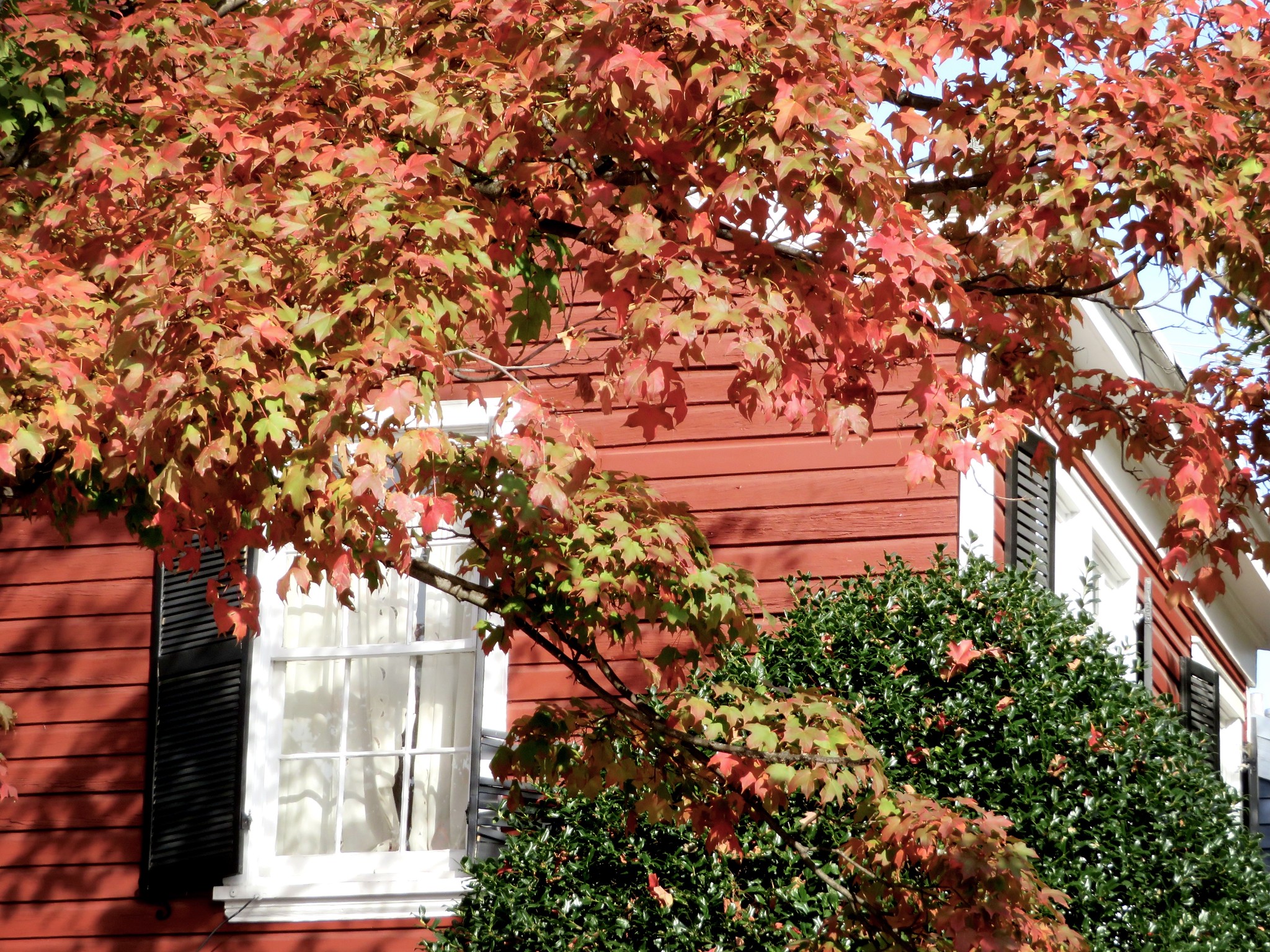 Overheard In D.C.: Home For The Holidays | DCist