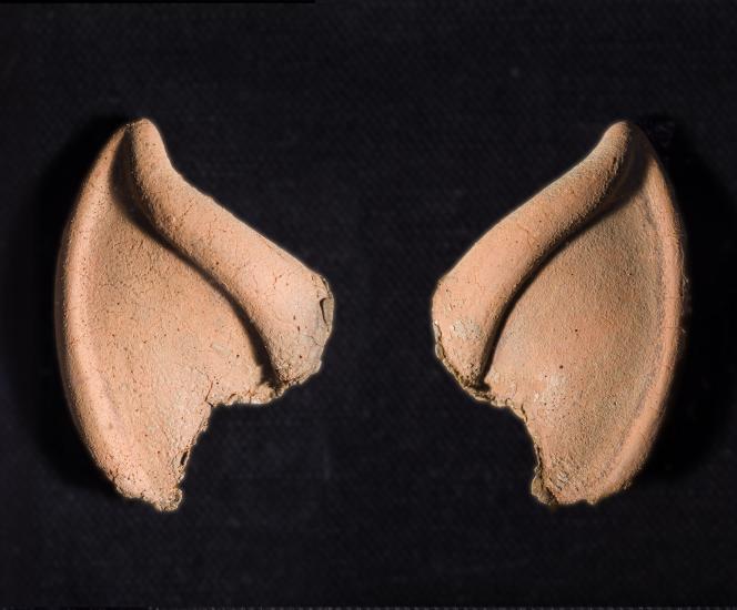 Spock's Pointy Ears Are Headed To The Smithsonian | DCist