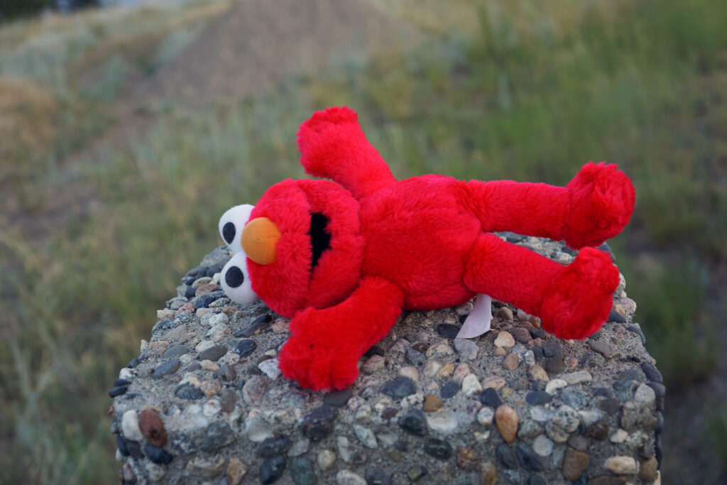 Elmo, Elon, And Warm Oatmeal: Here Are Some Write-In Votes D.C ...