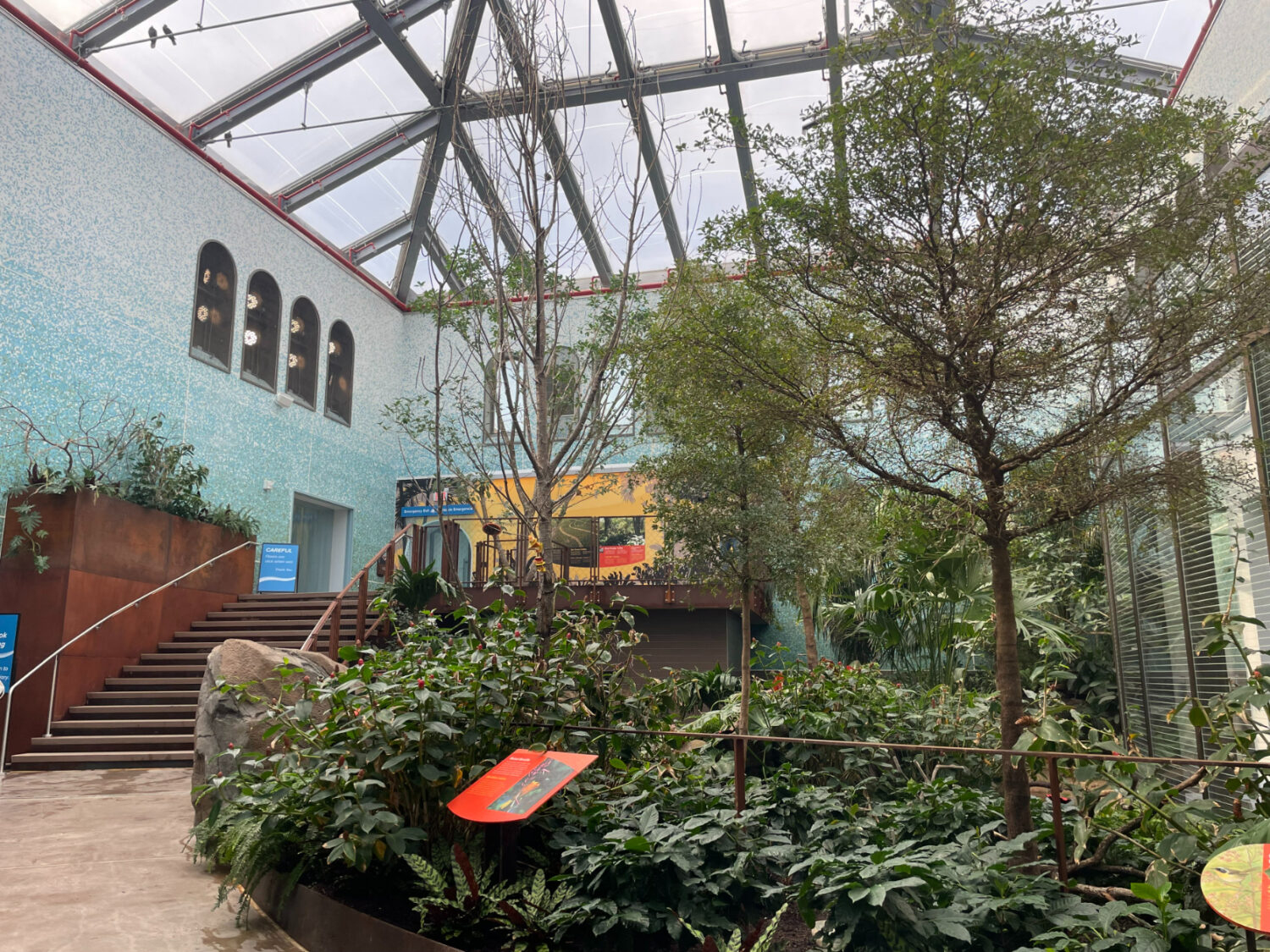 A Look Inside The National Zoo’s Renovated Bird House, Opening Next ...
