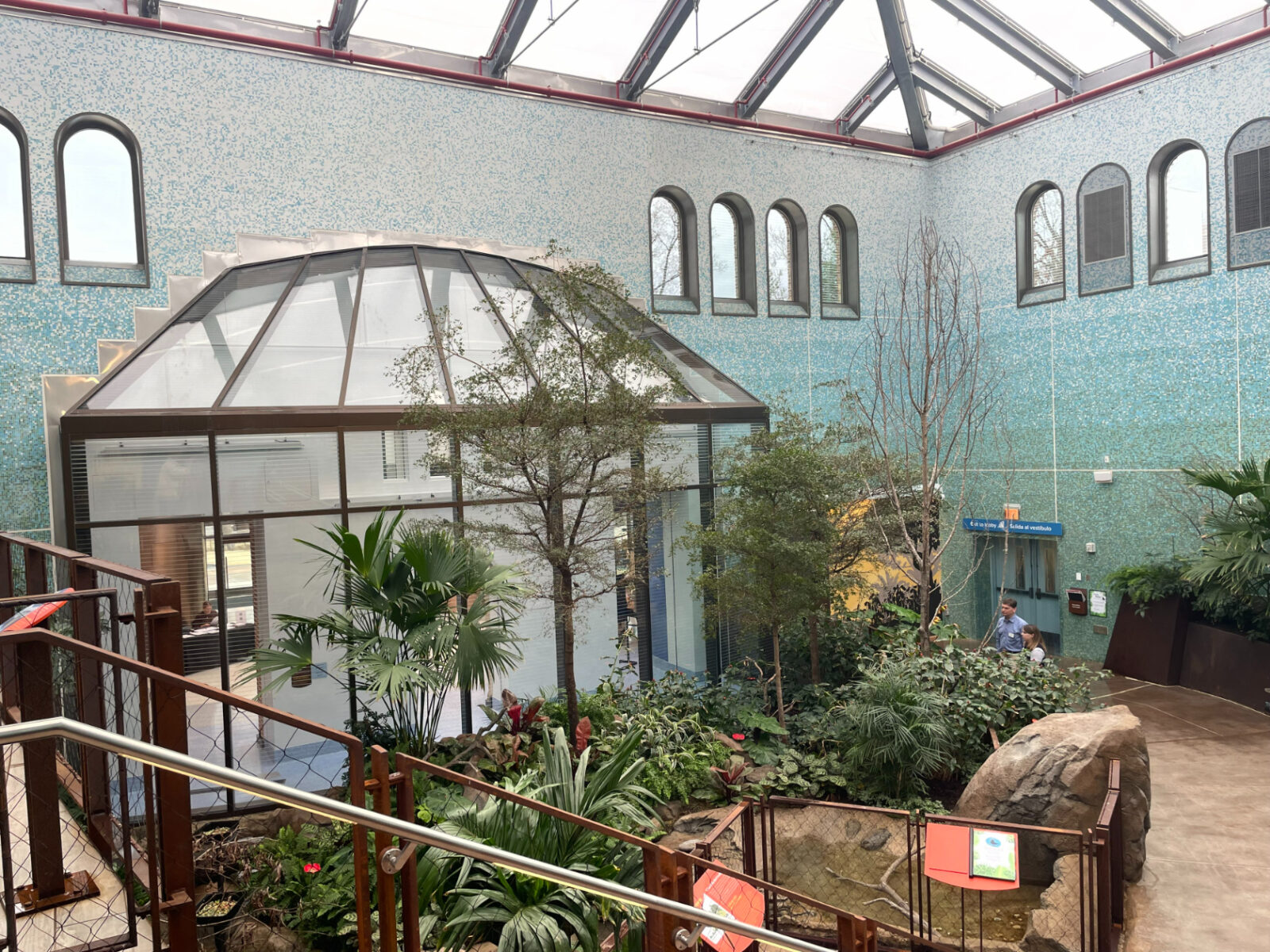 A Look Inside The National Zoo’s Renovated Bird House, Opening Next ...