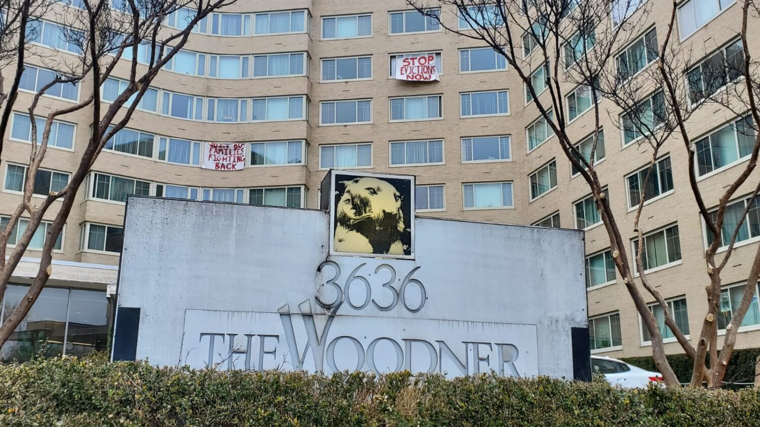 Dozens Of Tenants In This Rent-Controlled Building Are Facing Eviction ...
