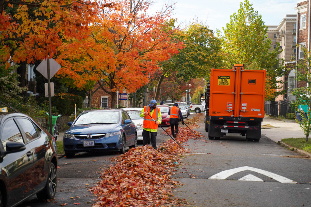 D.C. Made Changes To Leaf Collection This Year
