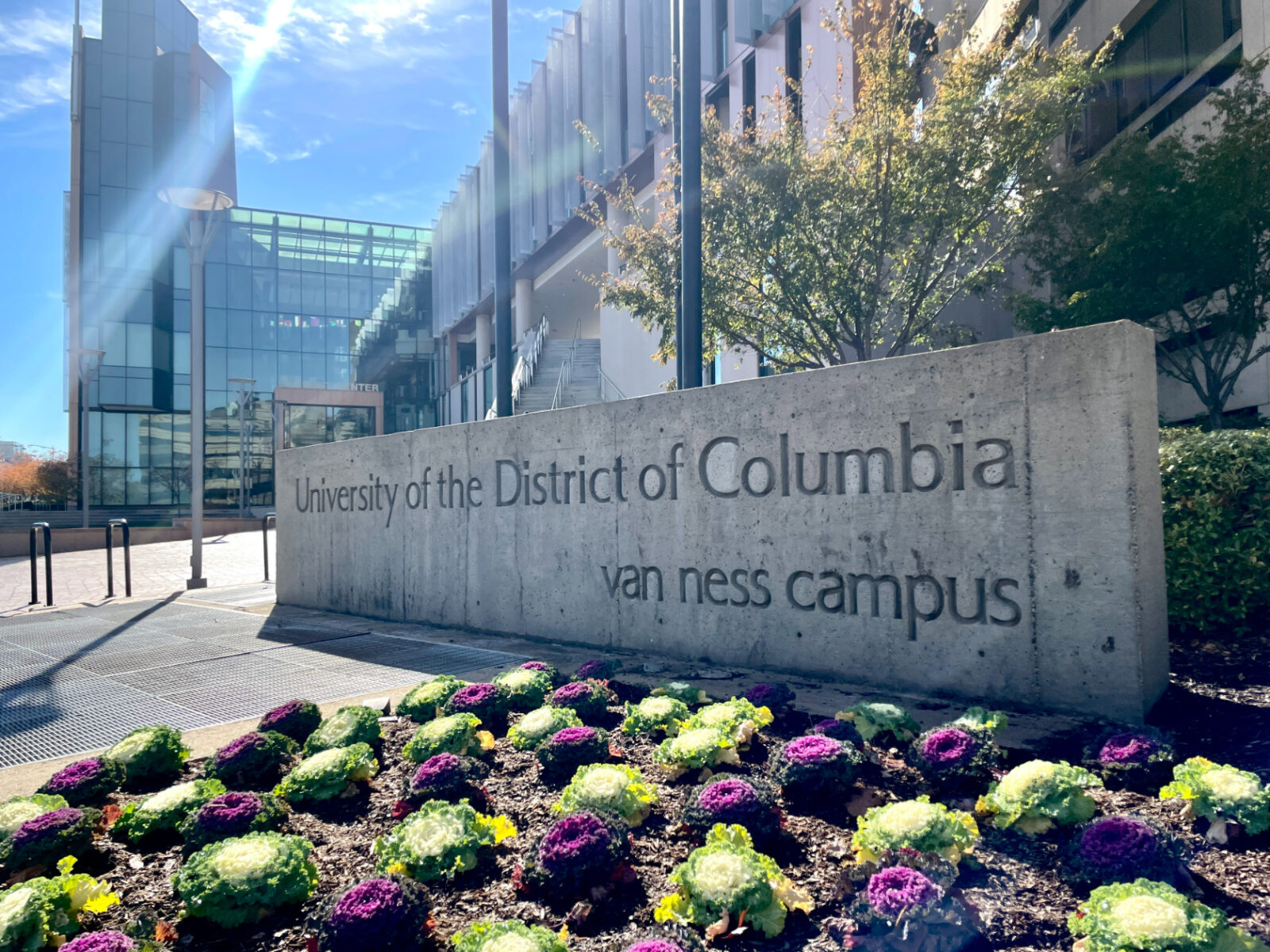 New Bill Creates Free Social Work Master's At UDC